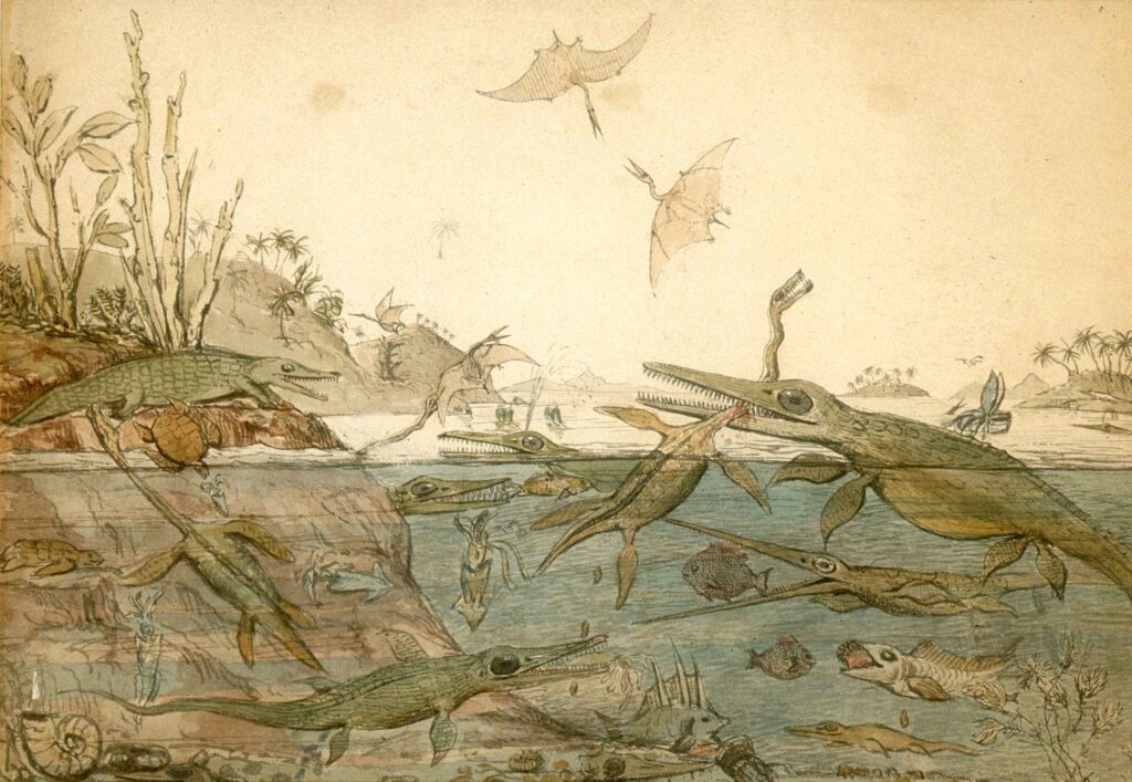 Explora las Evidencias Paleontológicas y las Eras Geológicas: Un Viaje ...