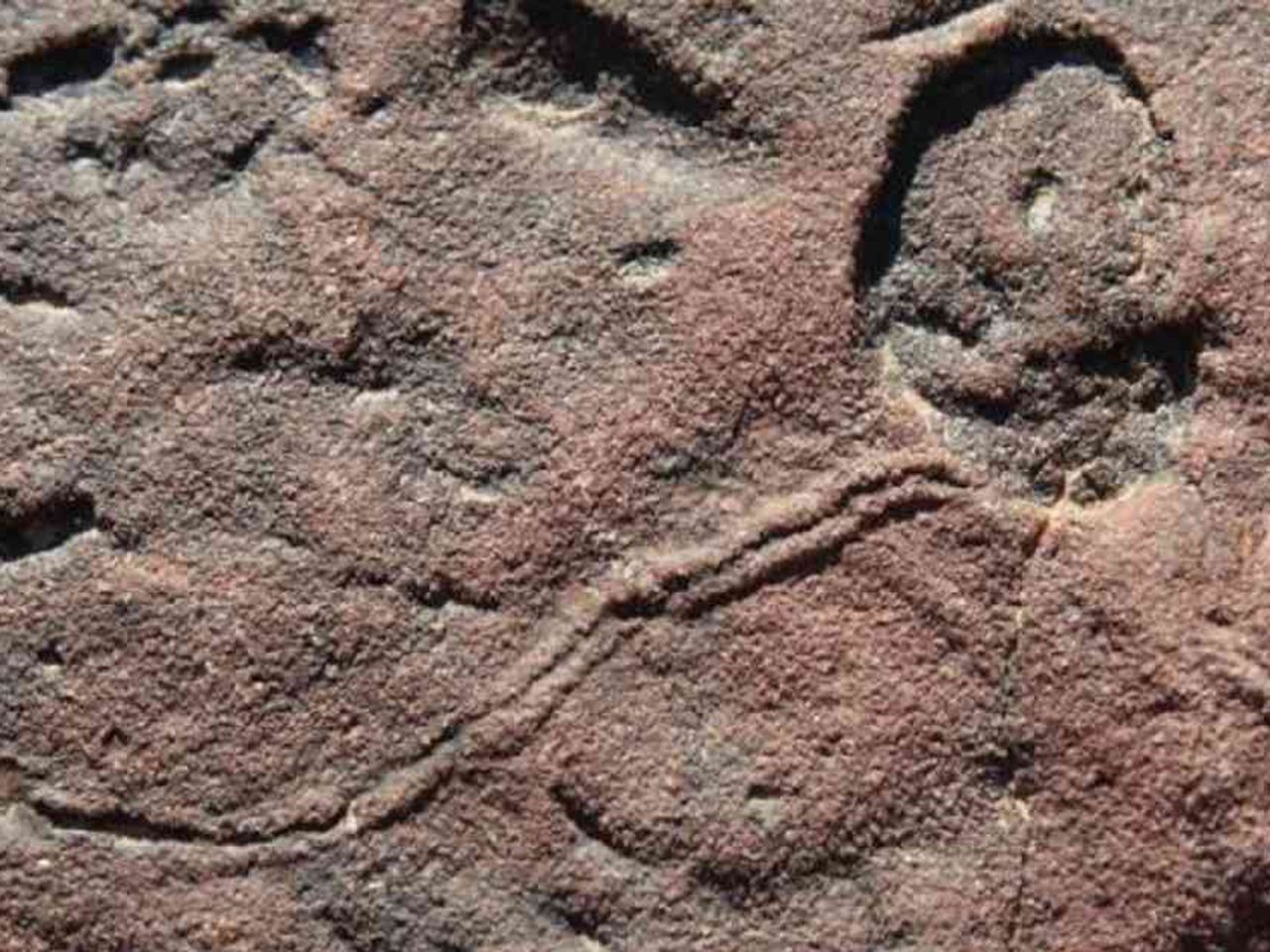 ¡Descubre la Importancia del Cámbrico para Revelar la Fascinante ...